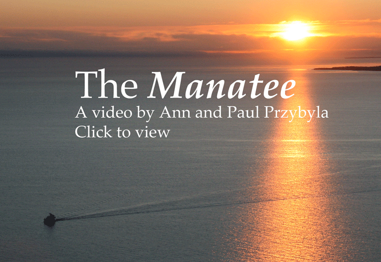 manatee | Presque Isle County Advance, Onaway Outlook